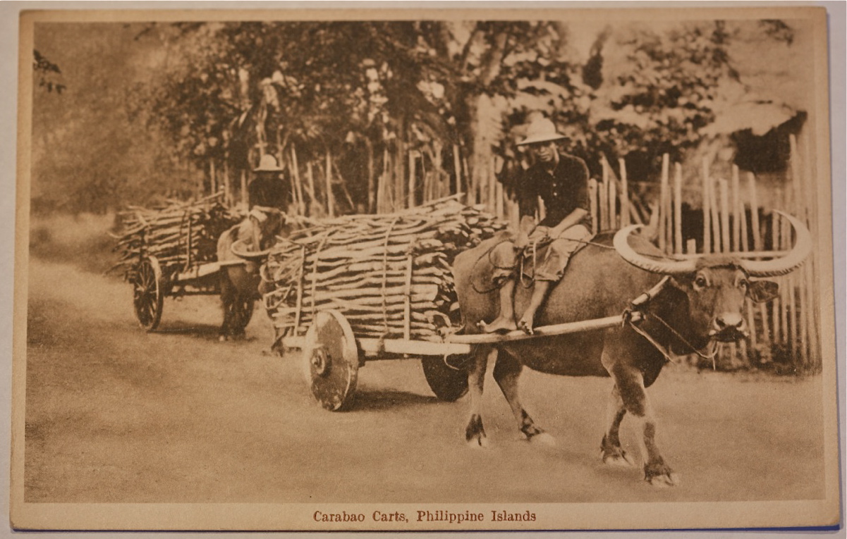 Vintage Paper Collecting: Fun and Finds | OIC Moments