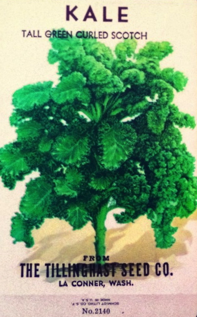 The Kale Project | OIC Moments - OIC Moments