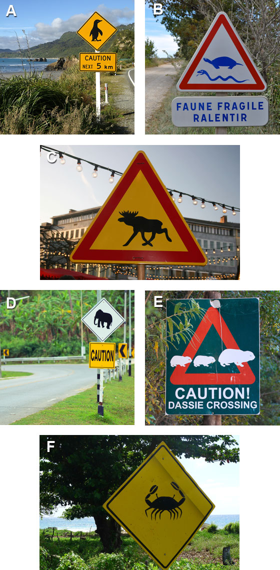 Oh, Deer! Road Signs in Different Cultures | OIC Moments