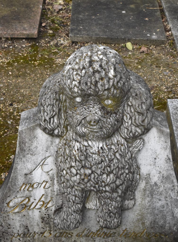 Resting in Peace at the Paris Pet Cemetery | OIC Moments - OIC Moments