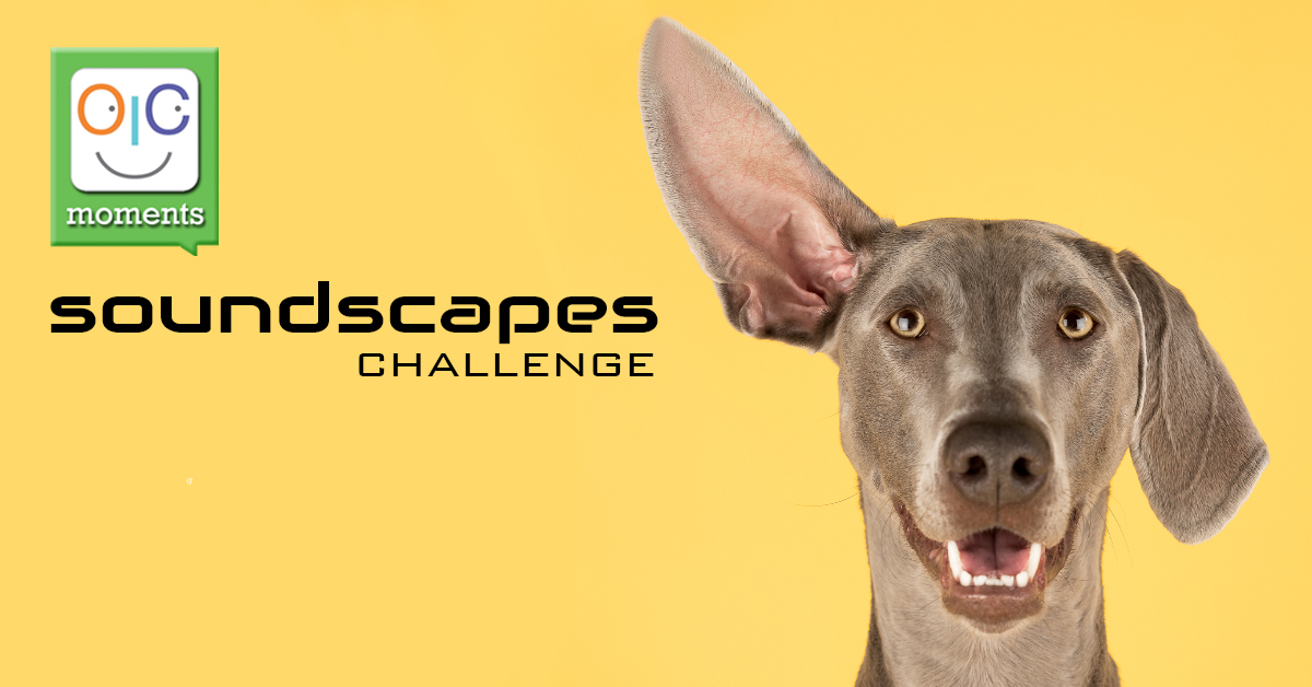 Ears Wide Open: A Soundscapes Challenge | OIC Moments